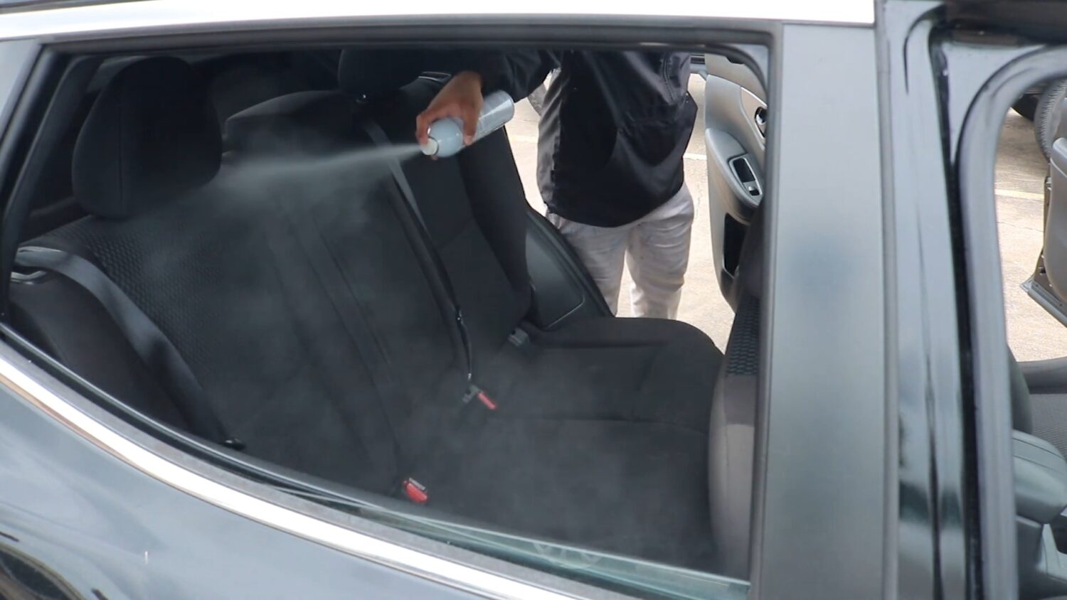 Useful Tips To Get Rid Of Fleas In Your Car - Phox Band